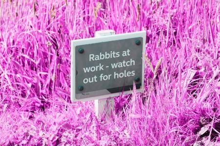 Blog under construction! | Gwenydd